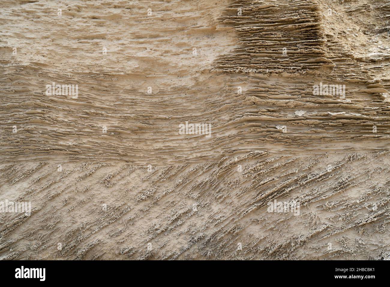 Calcarenite rock texture hi-res stock photography and images - Alamy