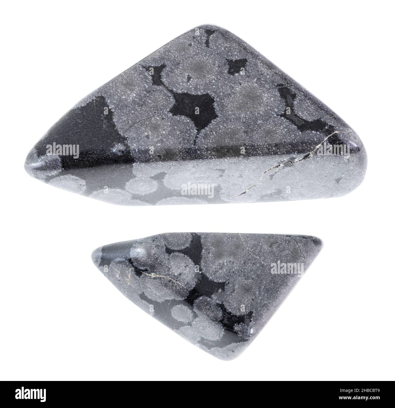 set of variolite stones cutout on white background Stock Photo - Alamy