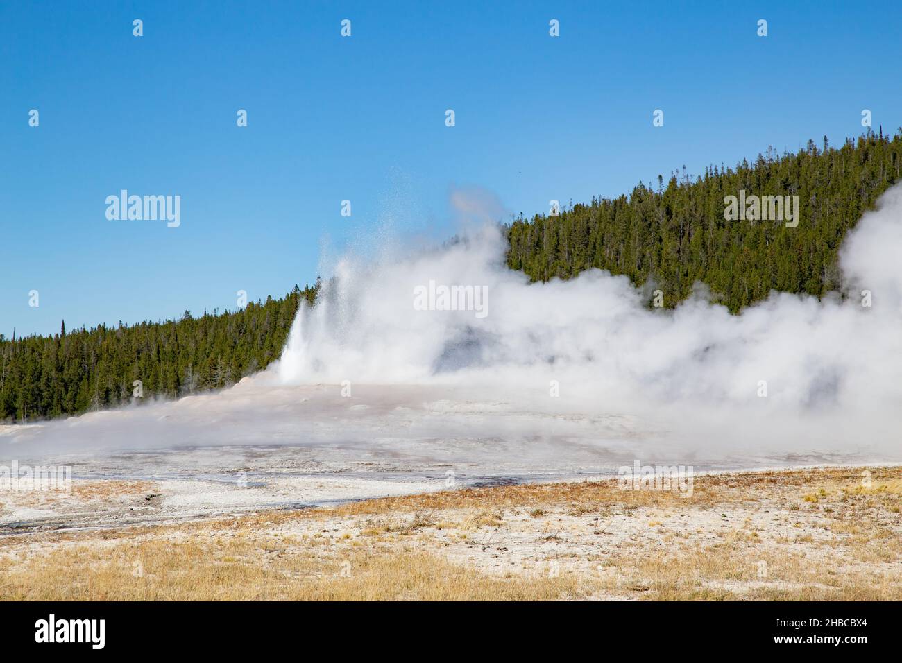 Old Faithful Geyser eruption in the Yellowstone national park, USA ...