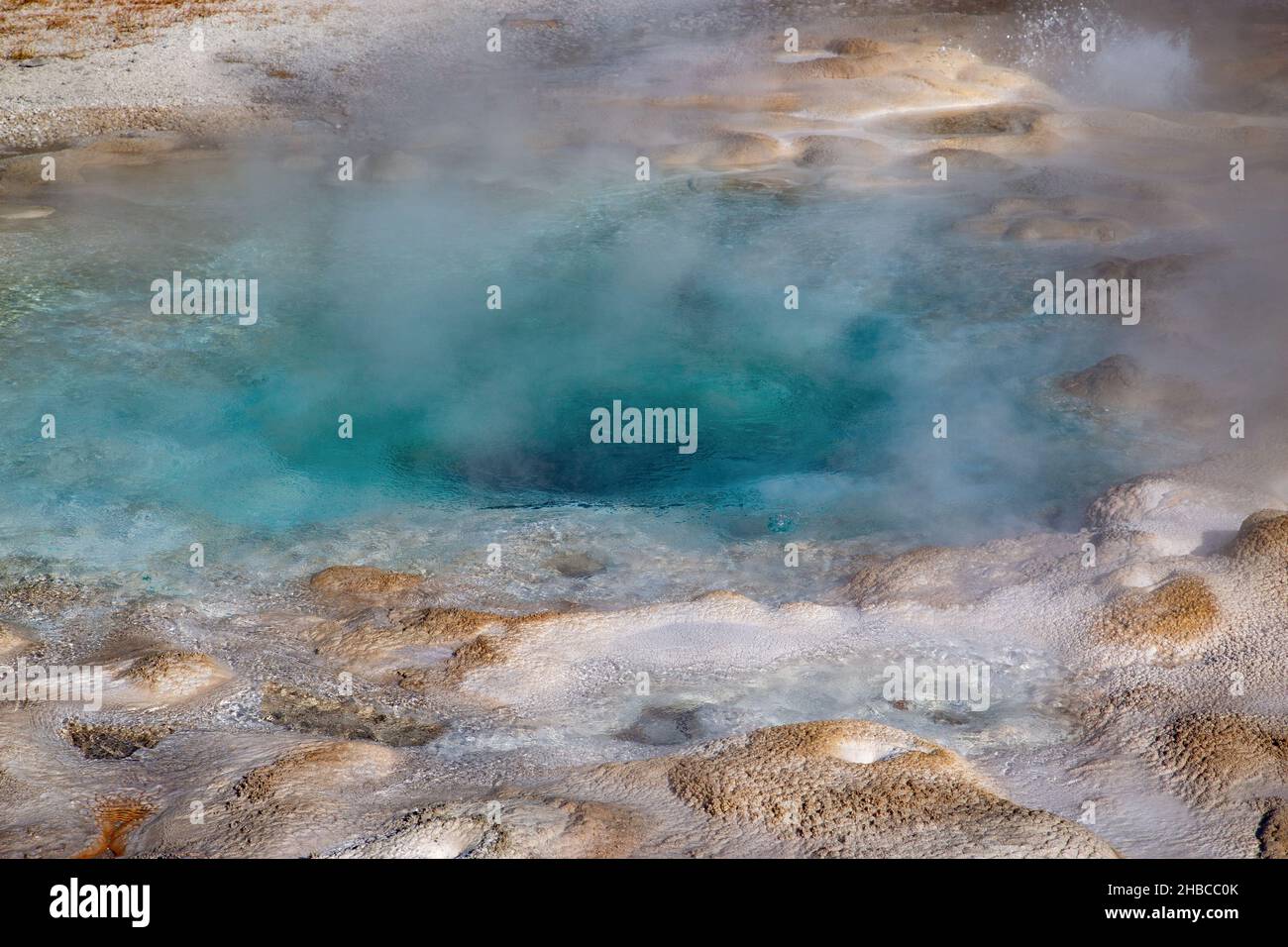 Colorful hot water pool in the Yellowstone National park, USA Stock ...