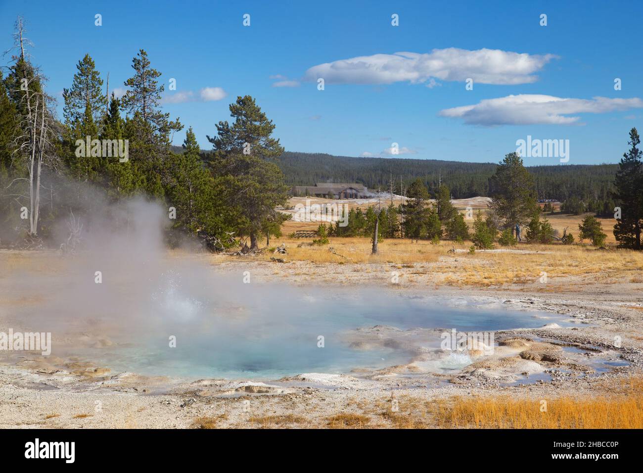 Colorful hot water pool in the Yellowstone National park, USA Stock ...