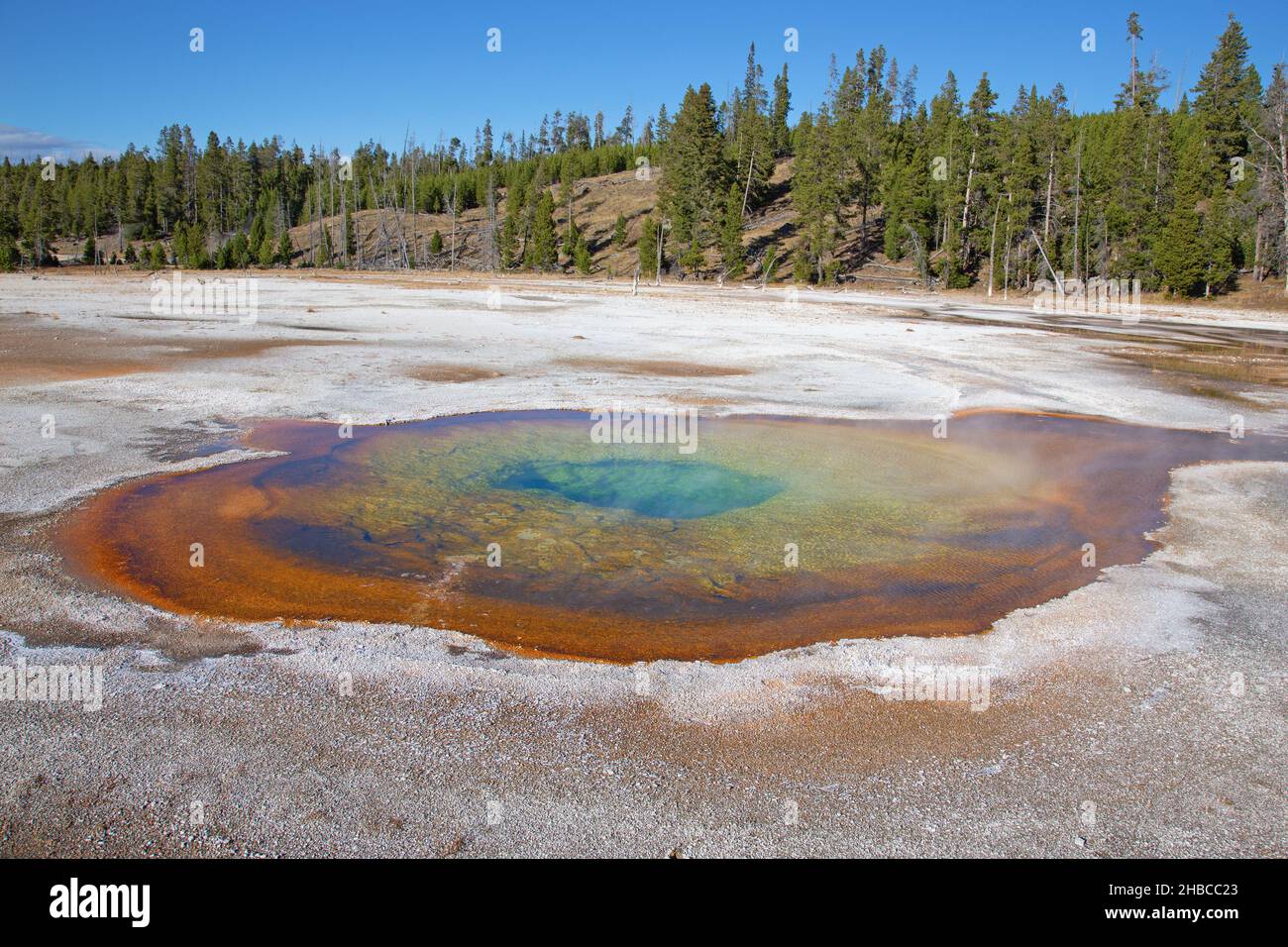 Colorful hot water pool in the Yellowstone National park, USA Stock ...