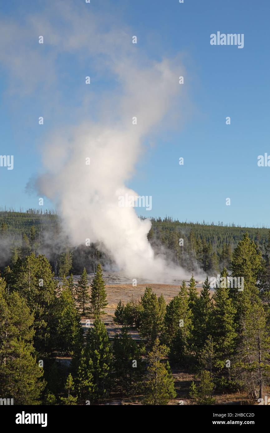 Geyser eruption in the Yellowstone national park, USA Stock Photo - Alamy