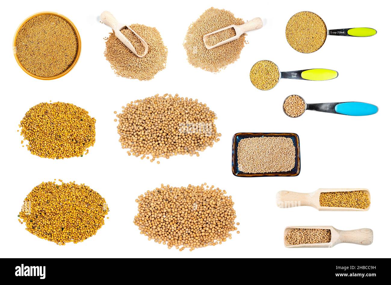 set of various white mustard (brassica alba) seeds cutout on white ...