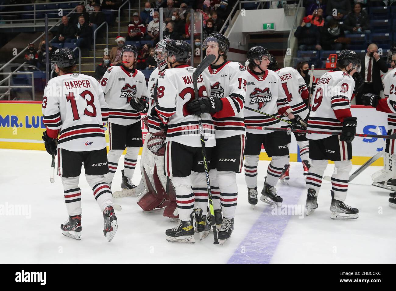 Teddy walker hi-res stock photography and images - Alamy