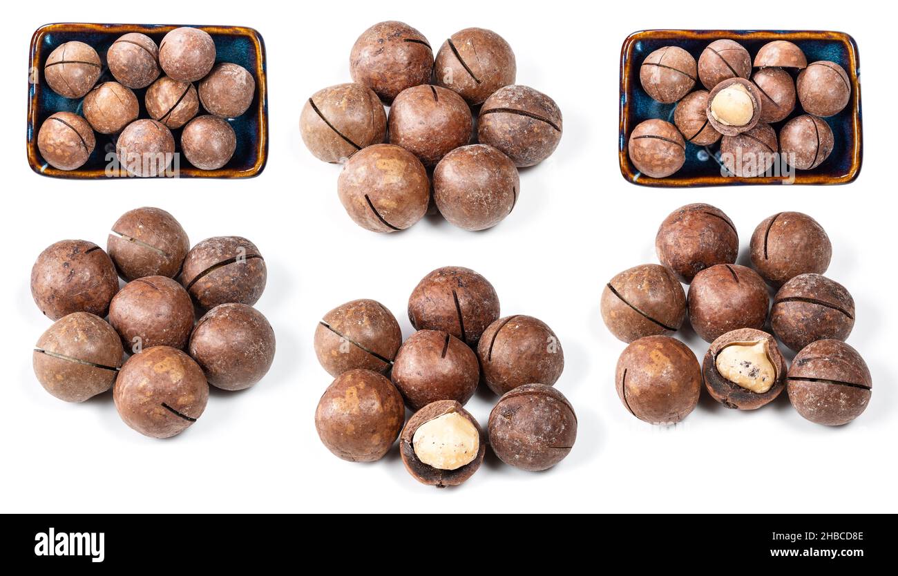set of macadamia nuts cutout on white background Stock Photo - Alamy