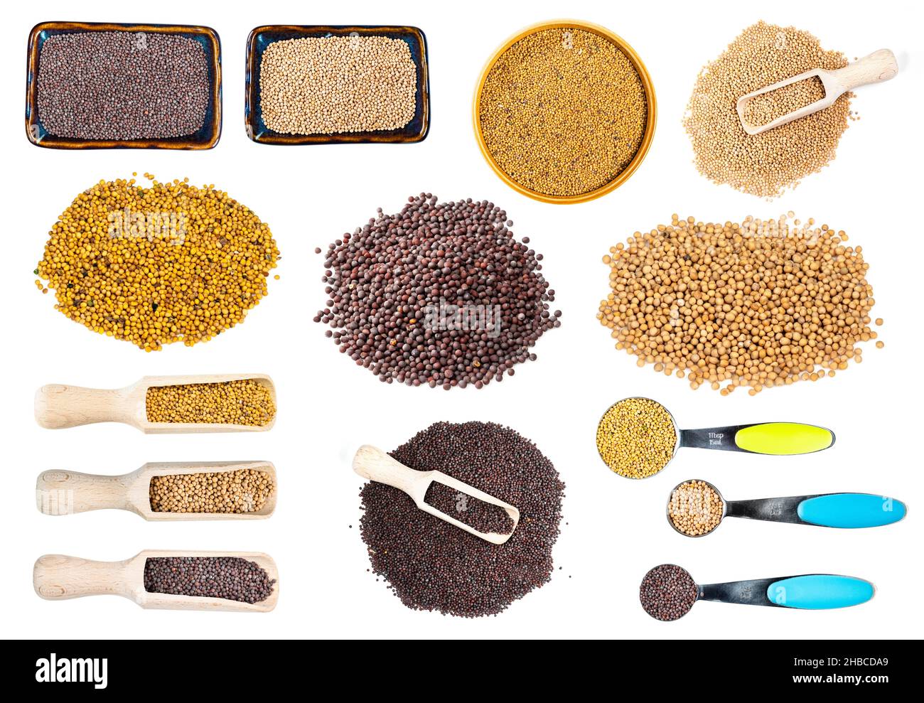 set of various mustard seeds cutout on white background Stock Photo - Alamy