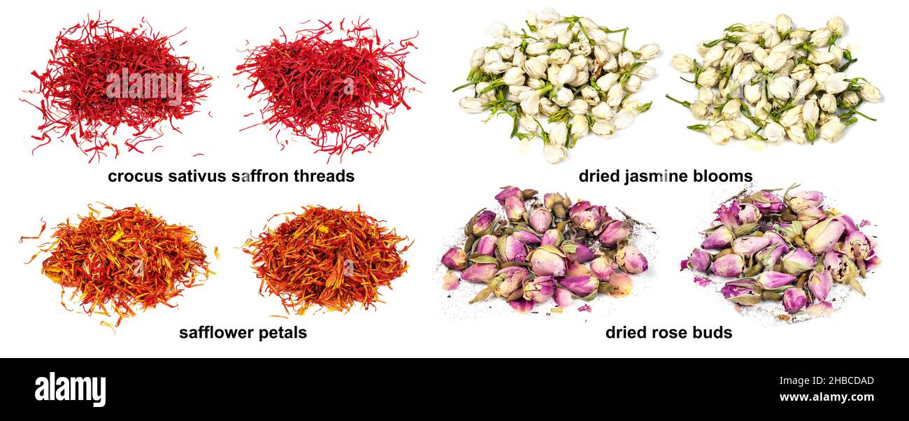 set of various piles with floral spices with names cutout on white ...
