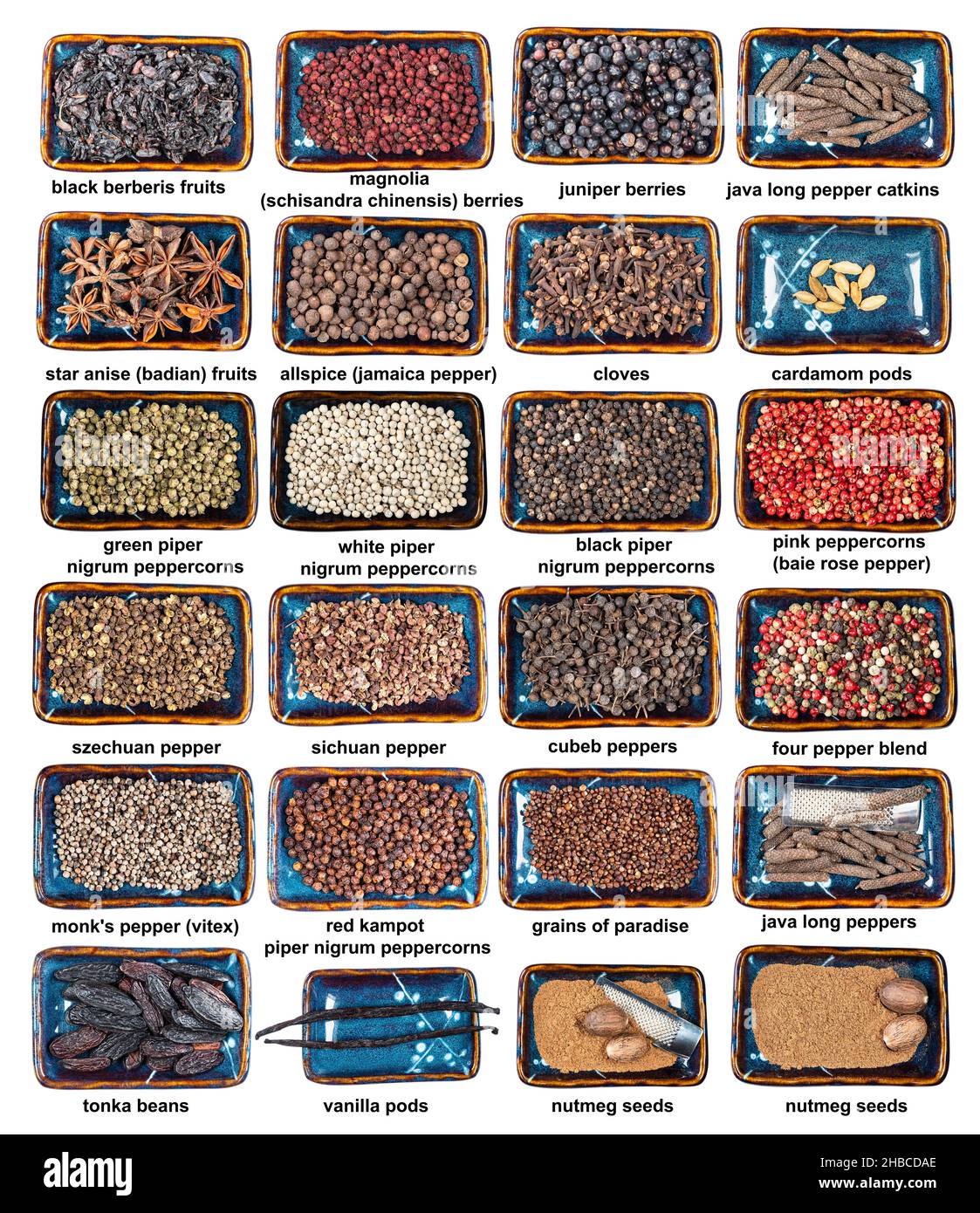 set of various whole grains of spices in bowls with names cutout on ...