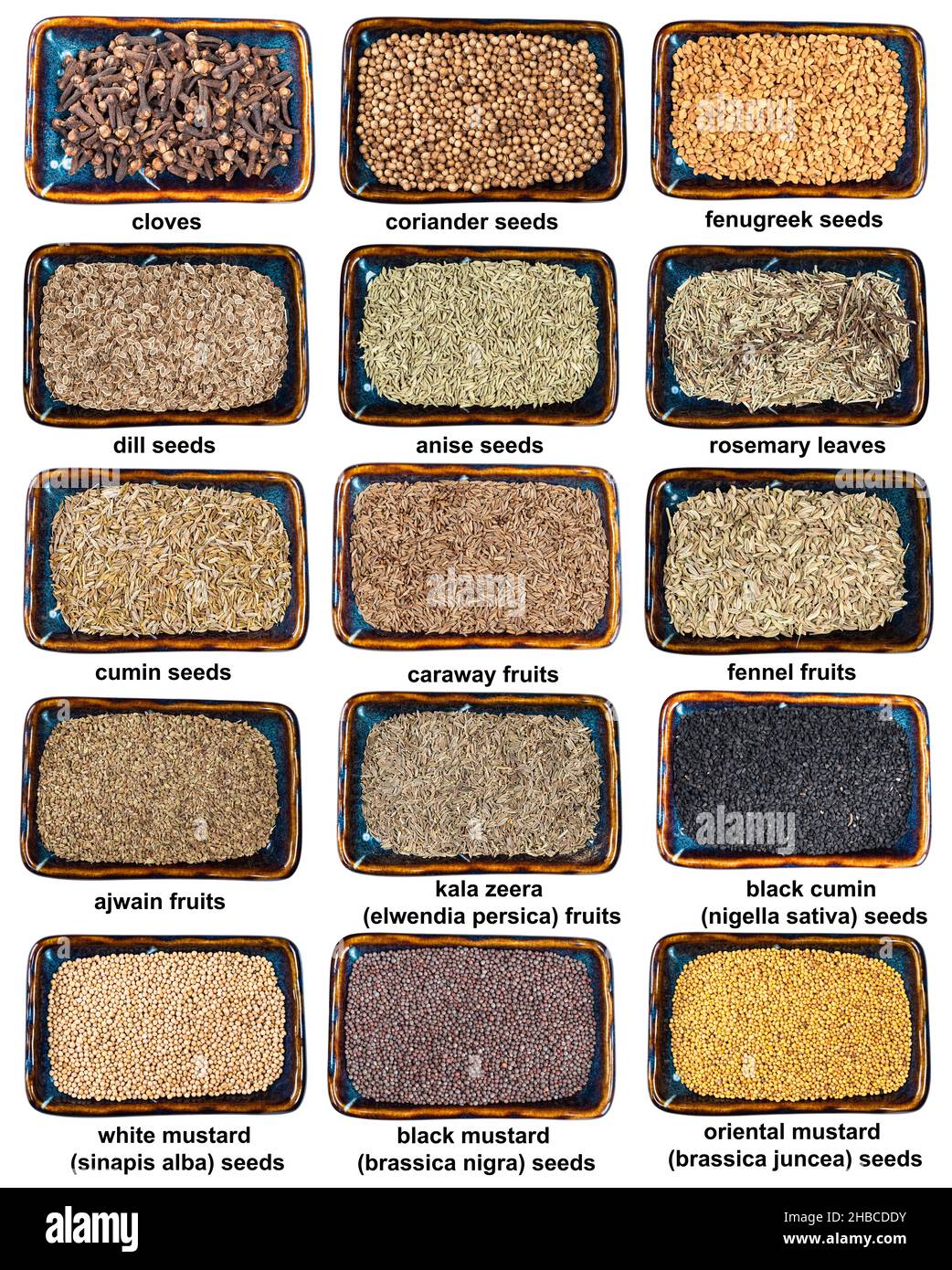 set of various spicy seeds in bowls with names cutout on white ...