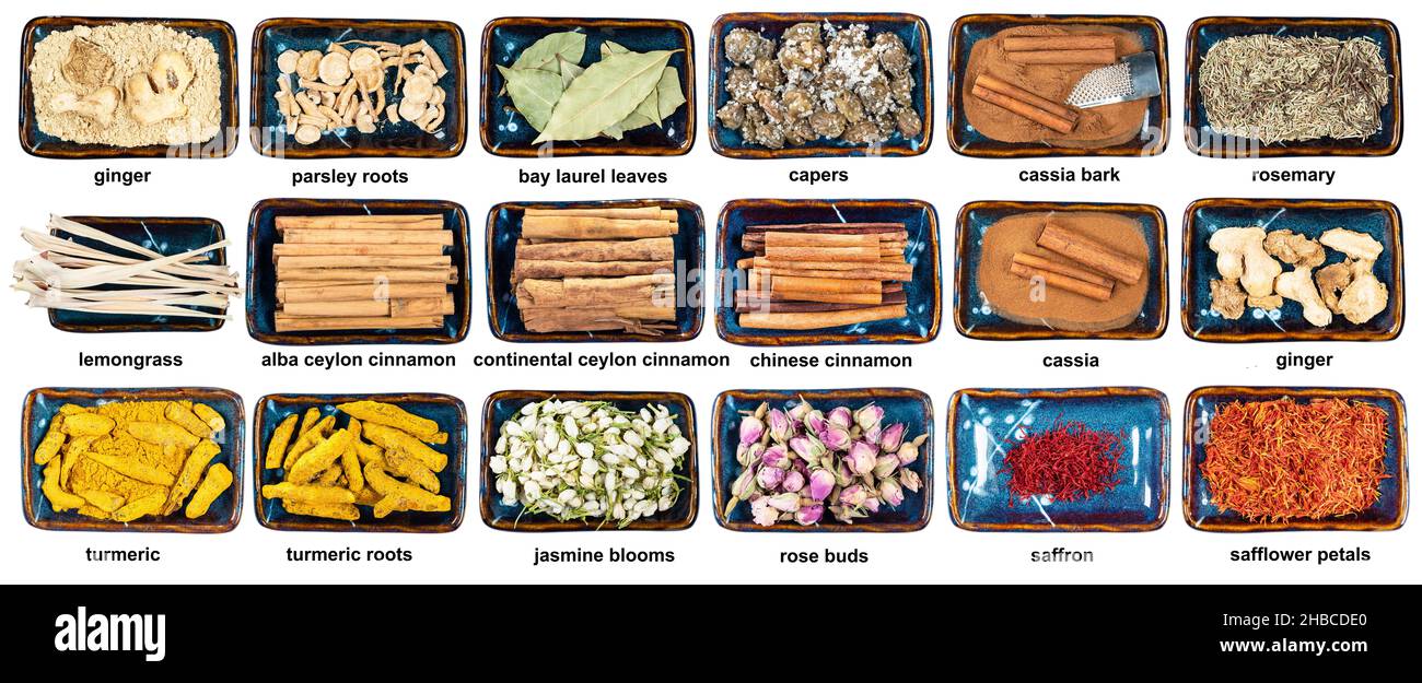 set of various dried flavorings in bowls with names cutout on white ...