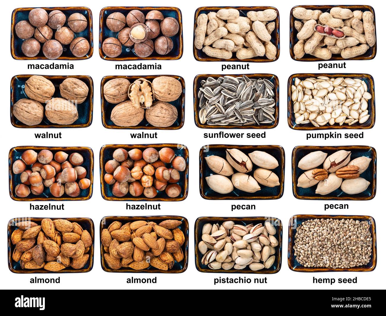 set of various unhusked nuts in bowls with names cutout on white ...