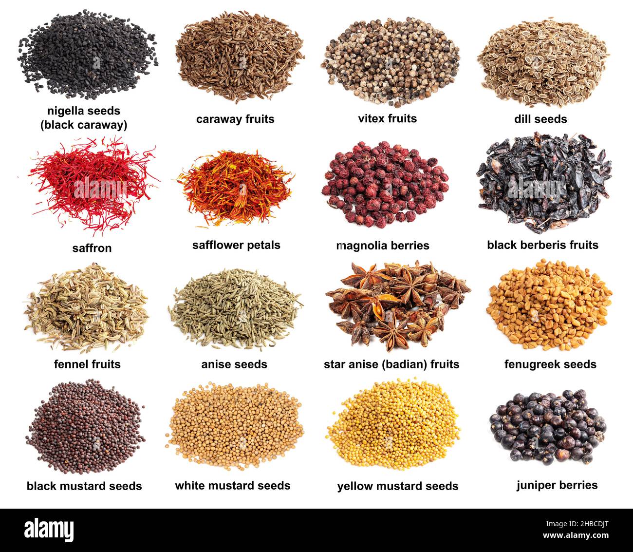set of piles of variuos spicy seeds and fruits with names cutout on ...