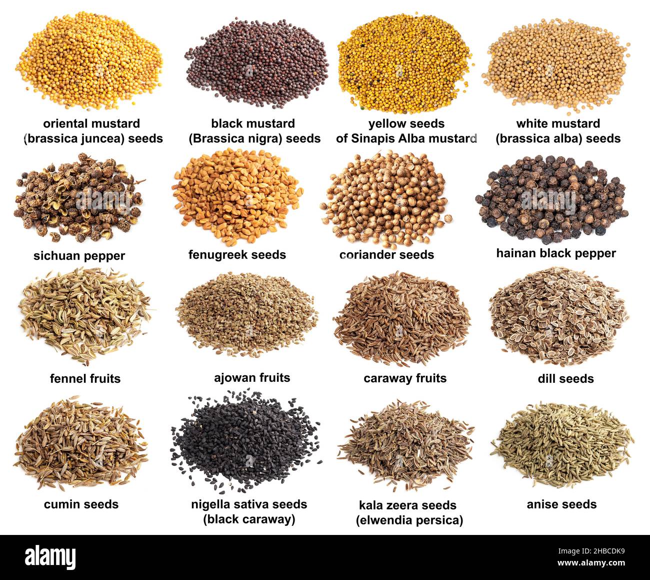 Set Of Piles Of Variuos Spicy Seeds With Names Cutout On White set-of-piles-of-variuos-spicy-seeds-with-names-cutout-on-white