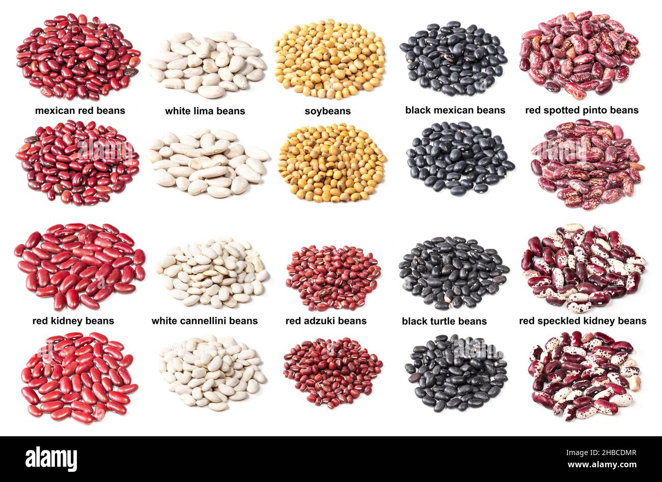 set of piles of variuos beans with names cutout on white background ...