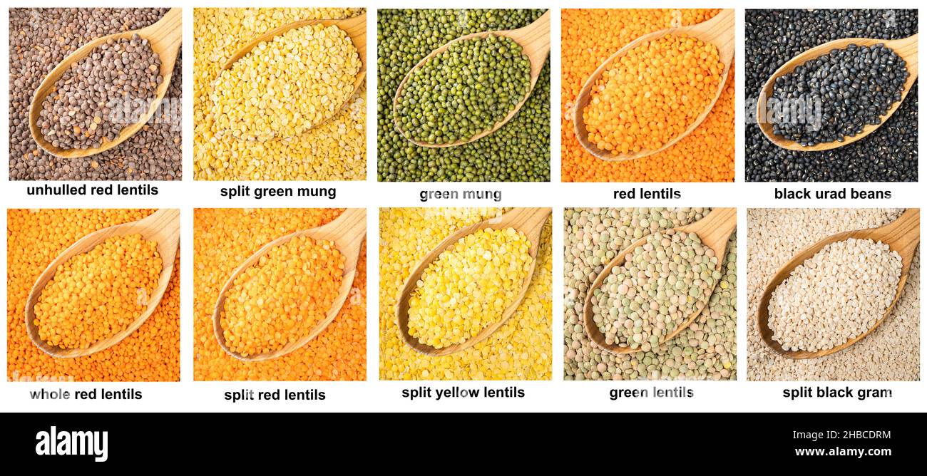 set of various lentils in wood spoons closeup with names on white ...