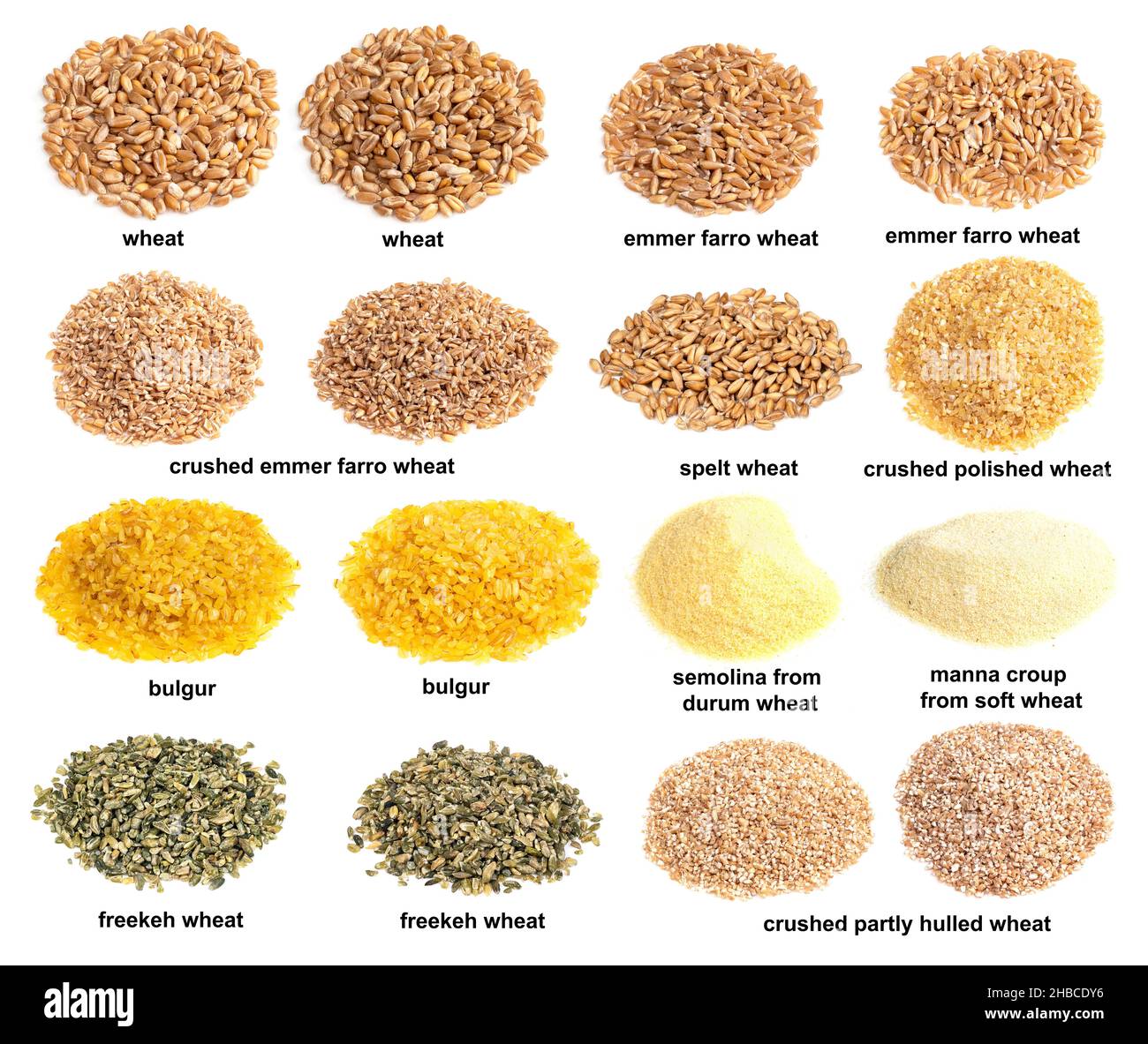set of piles of variuos wheat grains with names cutout on white ...