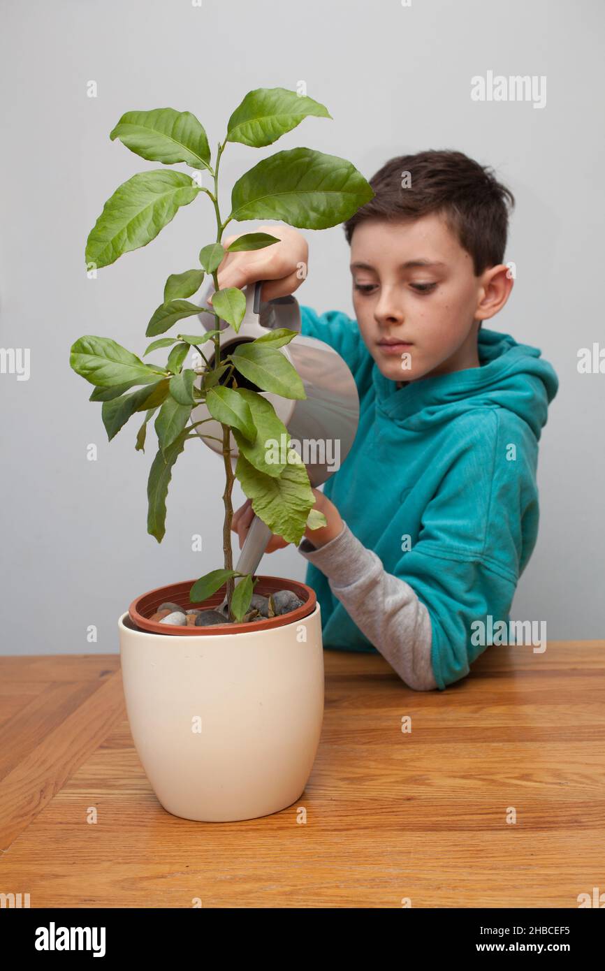 Watering tree kids hi-res stock photography and images - Alamy