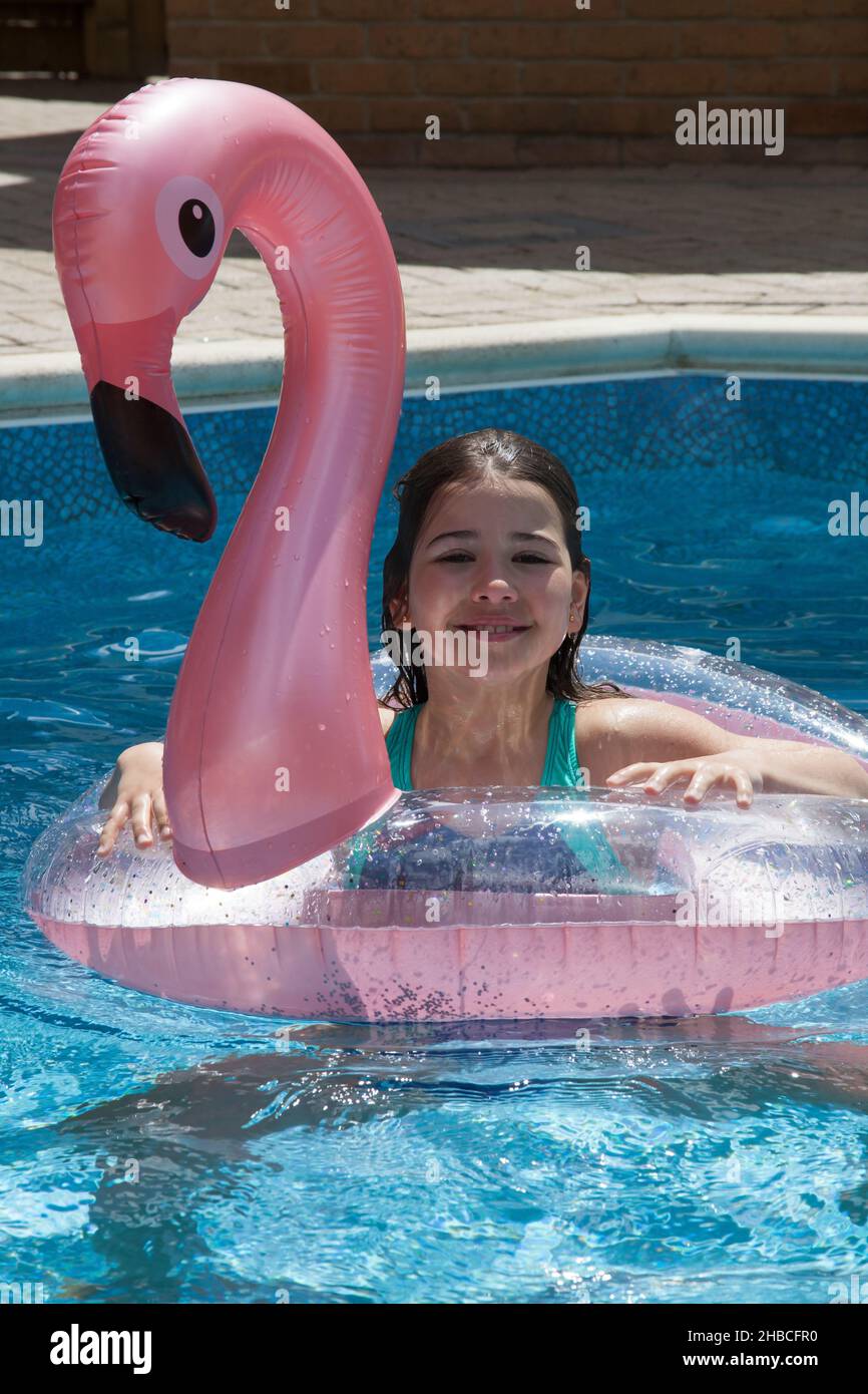 Pool flamingo hi-res stock photography and images - Alamy
