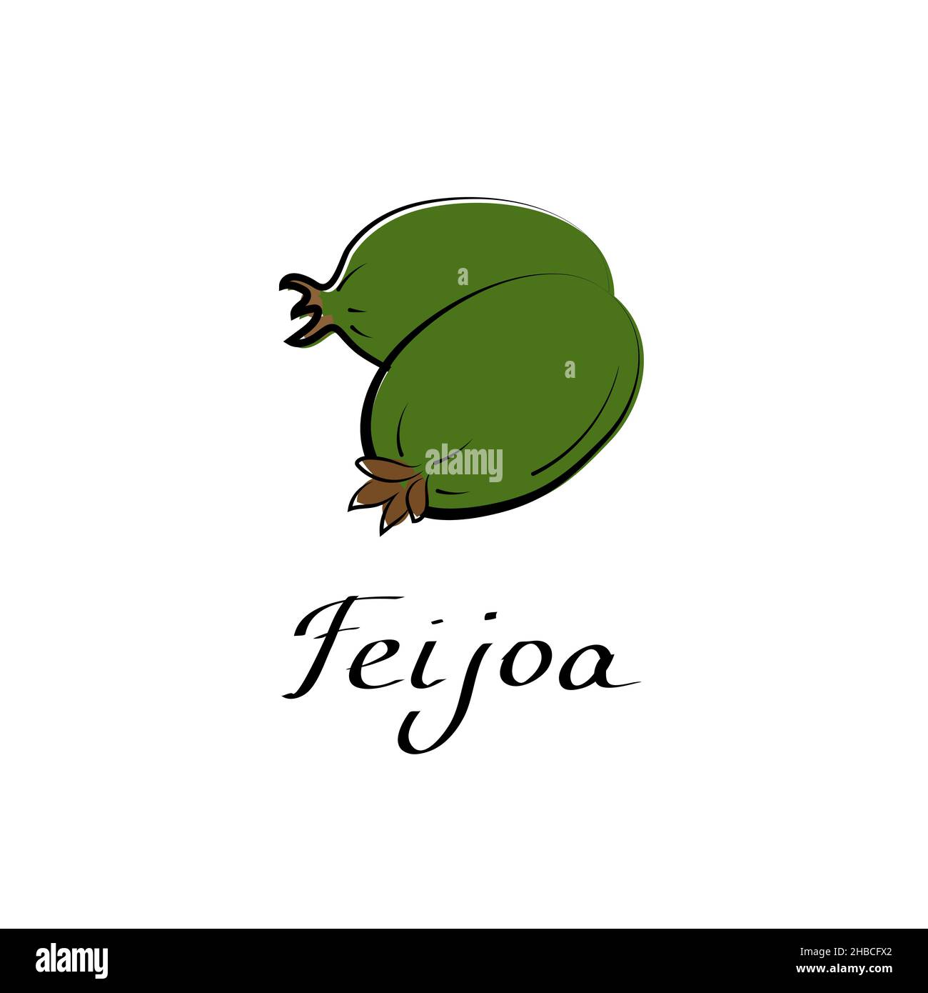 Feijoa vector cartoon flat illustration. Brazilian guava steen sign ...