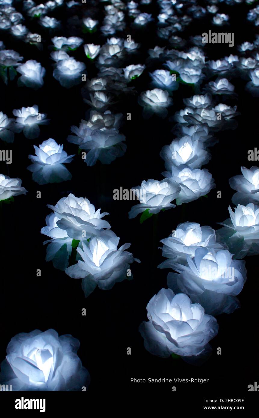 Ever After Garden in Grosvenor Square in Mayfair. London. December 2021 ...