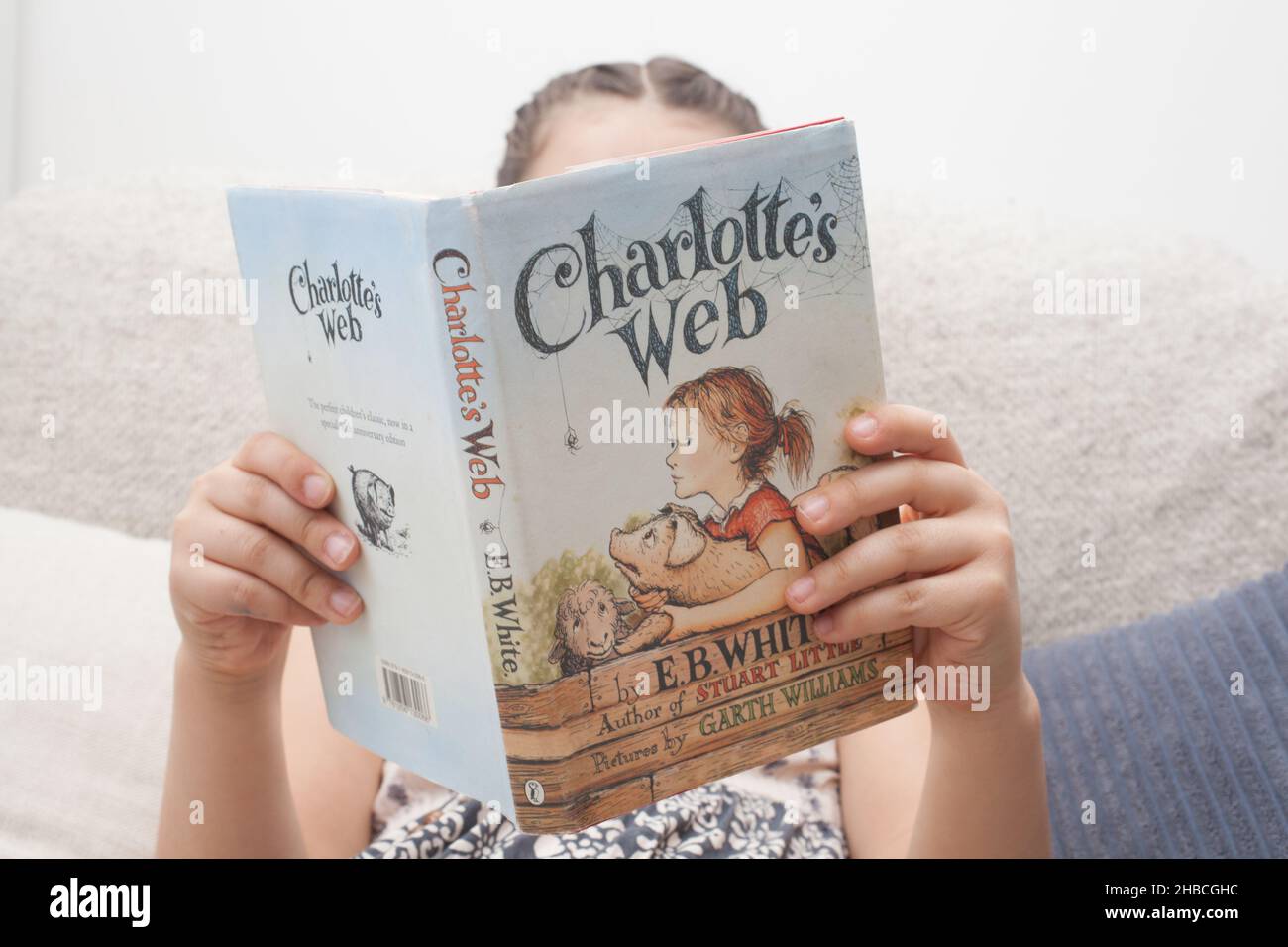 Charlottes Web High Resolution Stock Photography and Images - Alamy