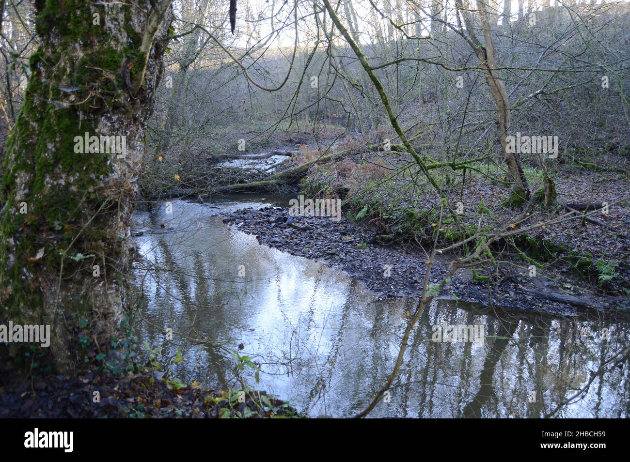 Sun breaking through mist at Craighall Den, Ceres, Fife, December 2021 ...