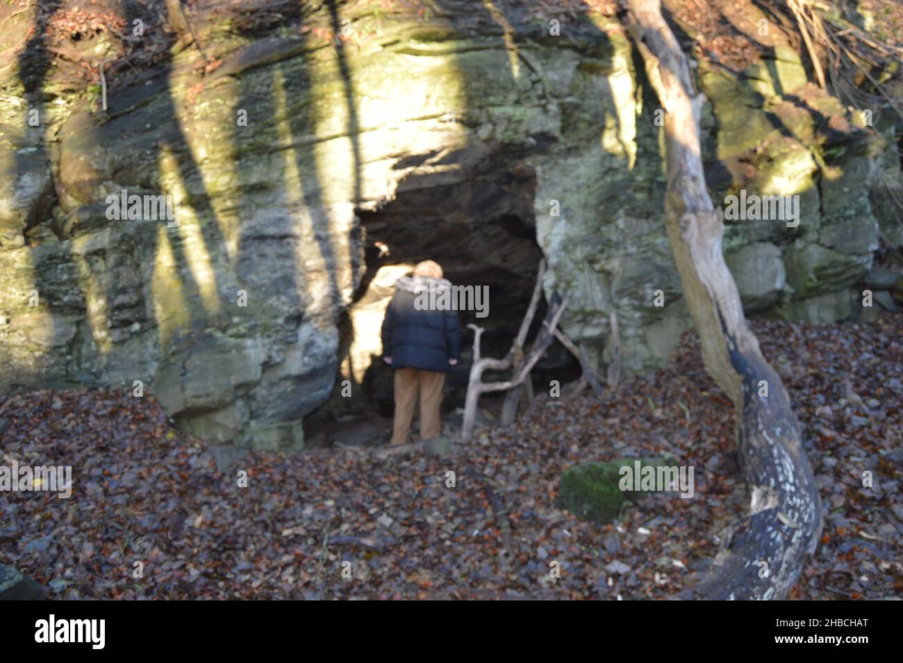Cave in limstone cliff near Limekilns at Craighall Den, Ceres, Fife ...