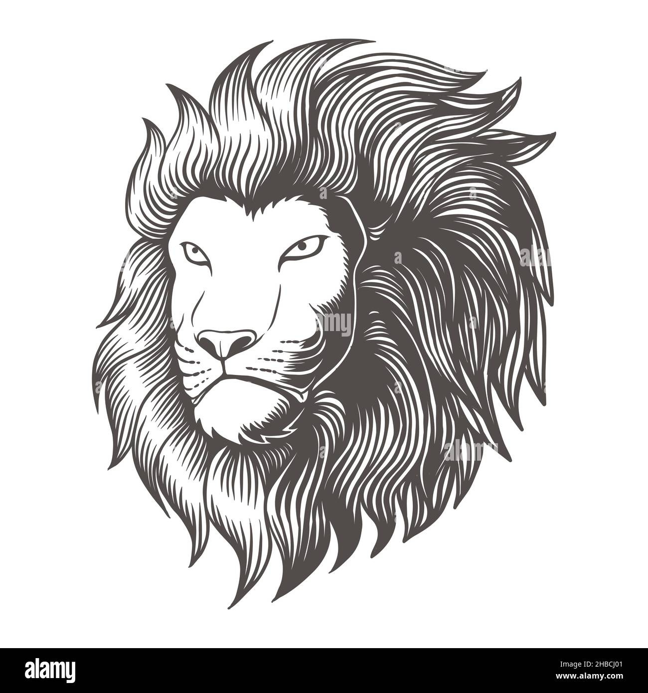 Lion Teeth Stock Vector Images - Alamy