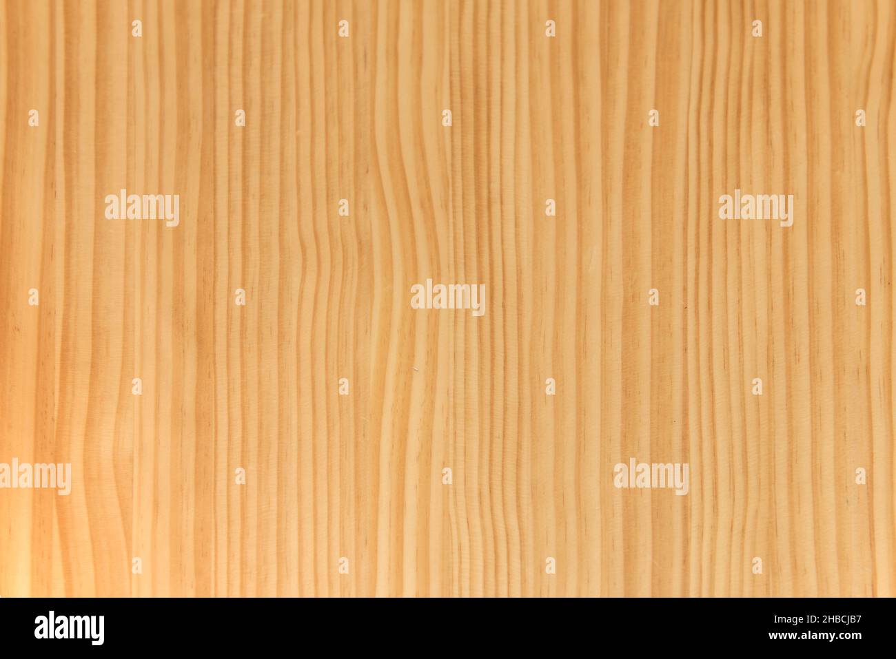 pine wood board with many veins. Vector Wood Texture Background Stock ...
