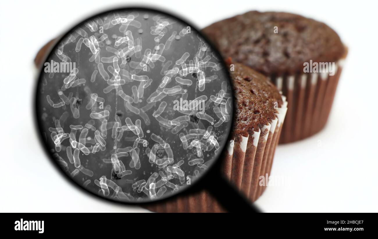 Searching for bacteria in sweets Stock Photo - Alamy