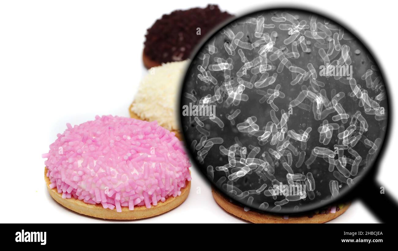 Searching for bacteria in sweets Stock Photo - Alamy