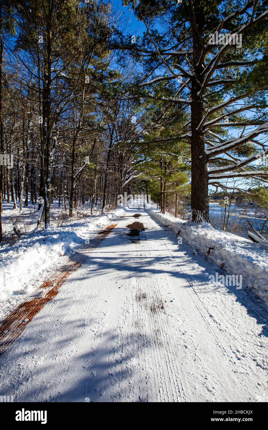 Road winding through the trees in Council Grounds State Park, Merrill ...
