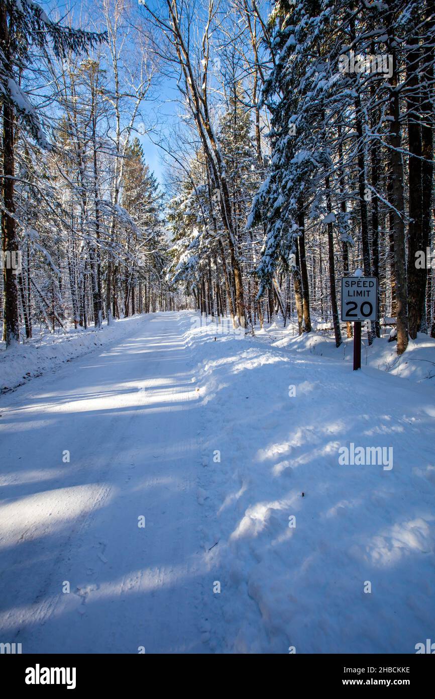Speed limit sign next to a road winding through the trees in Council ...