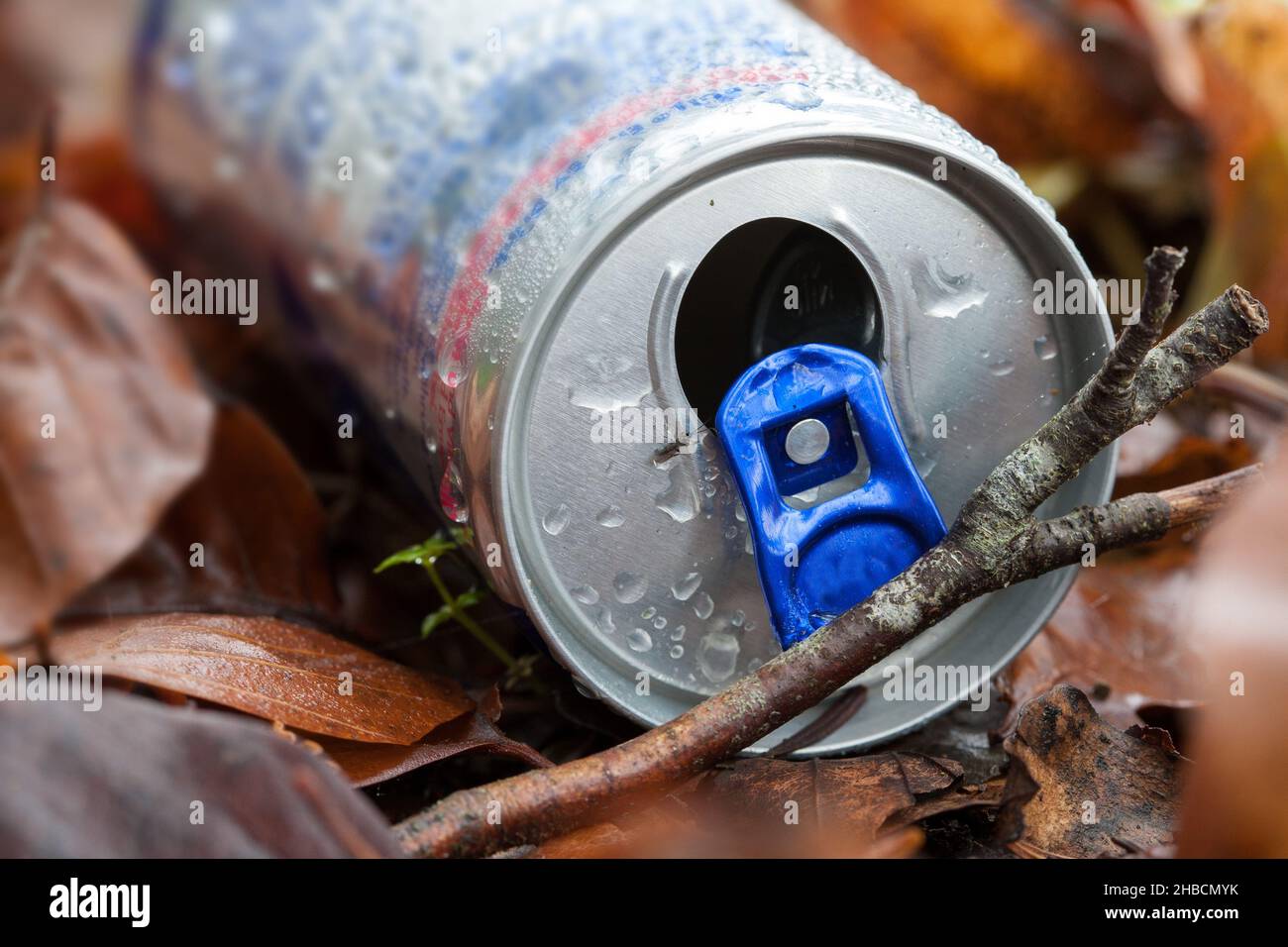 Beverage cans are one of the things that are thrown away most ...