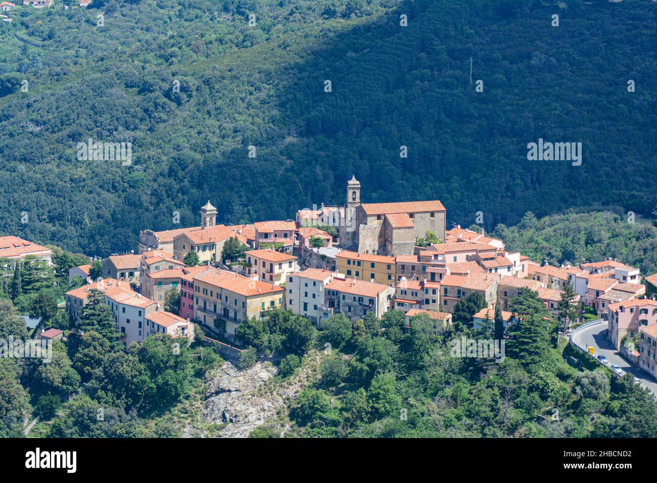 Mesmerizing view of a village on the hill amid thickly growing dense ...