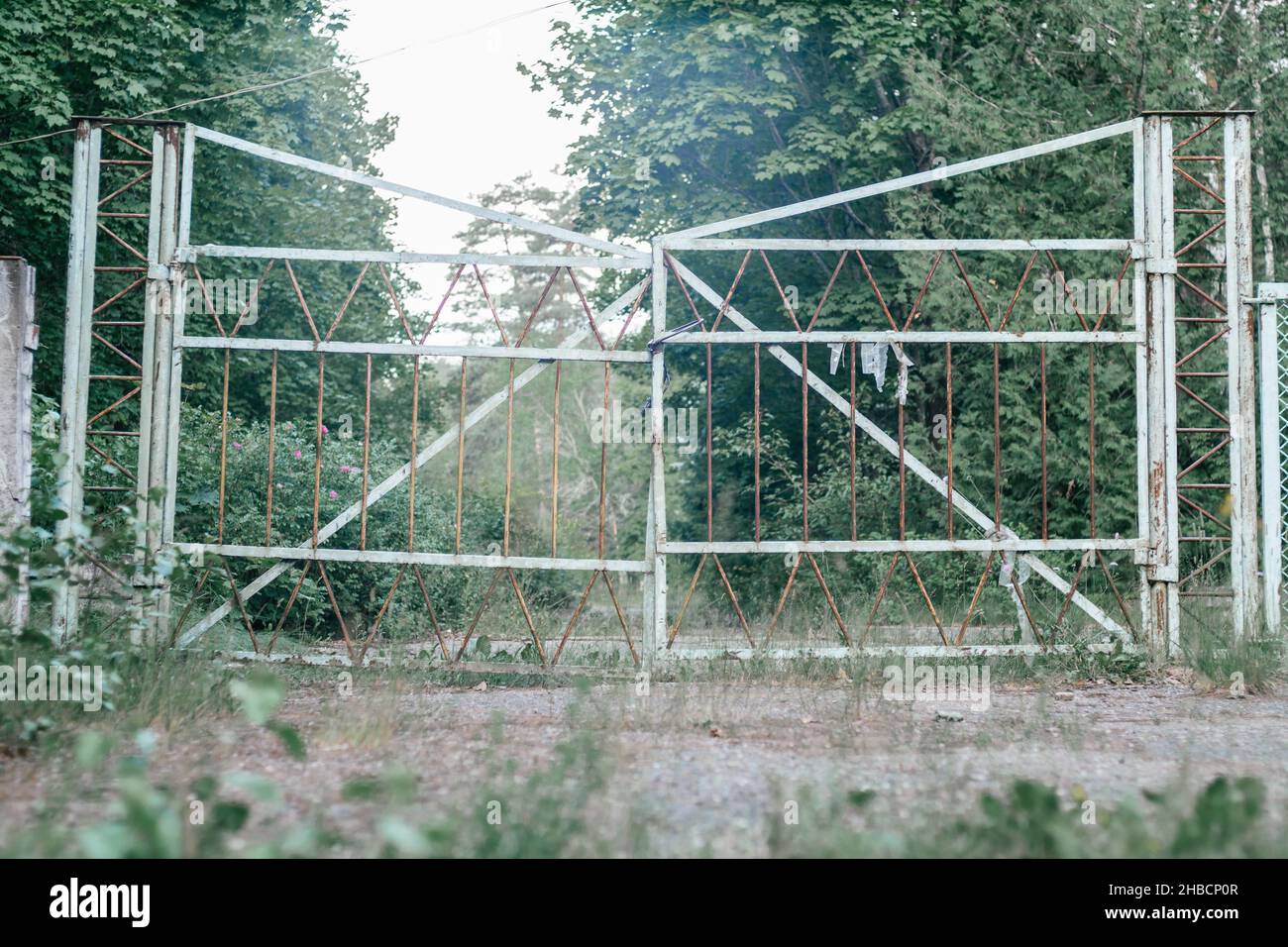 Old abandoned metal gate on grassy forest road Stock Photo - Alamy
