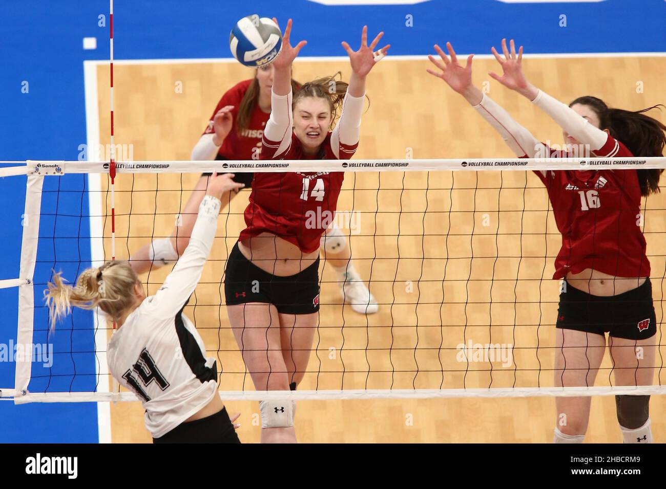 Anna smrek hi-res stock photography and images - Alamy