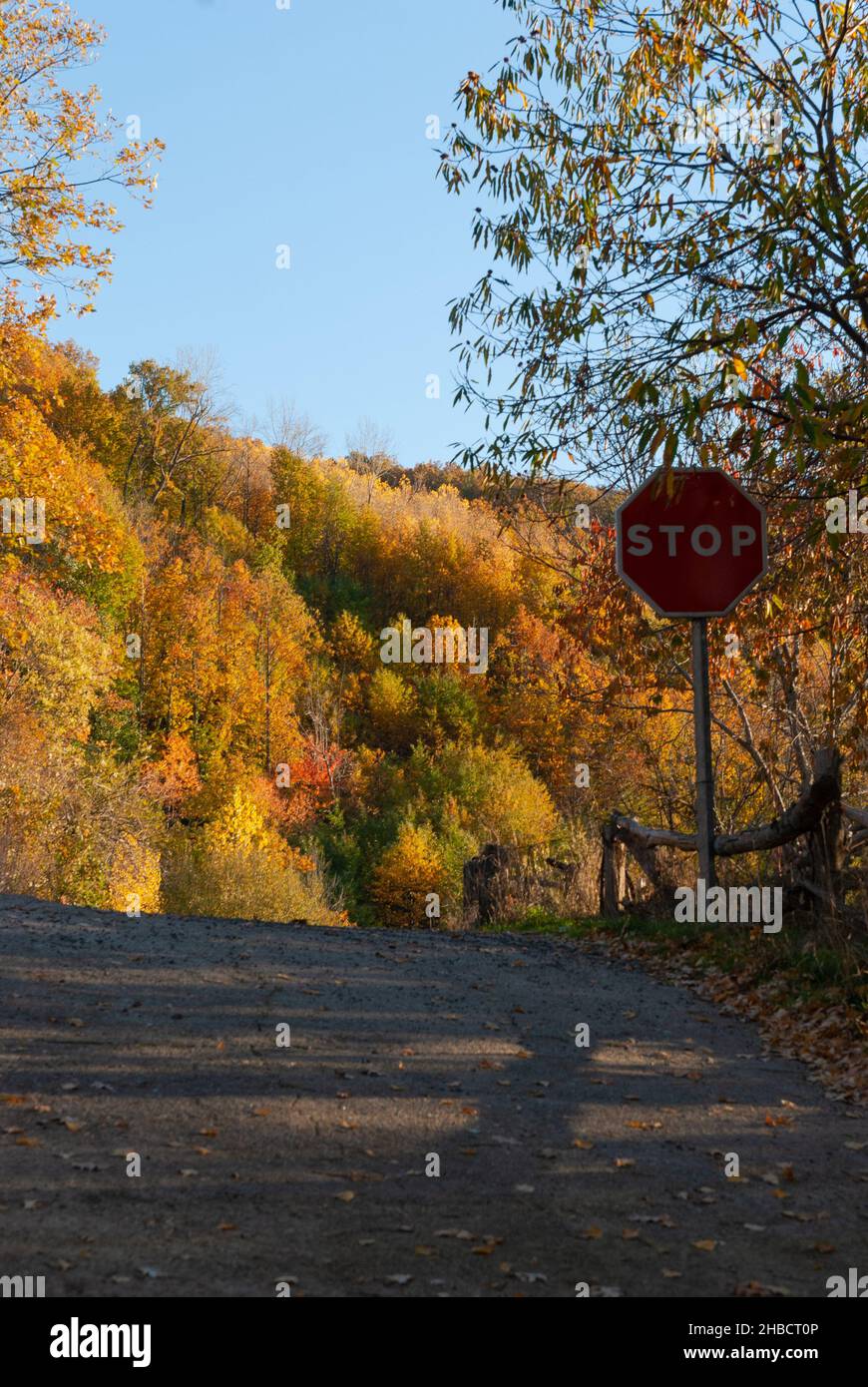 Amazon rainforest sign hi-res stock photography and images - Alamy
