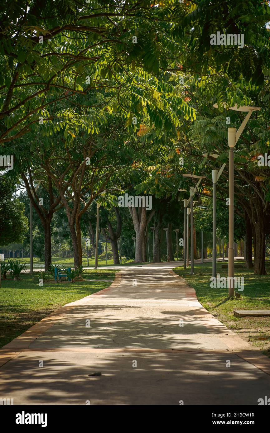 Jogging track with beautiful trees and bushes near the lake's landscape ...
