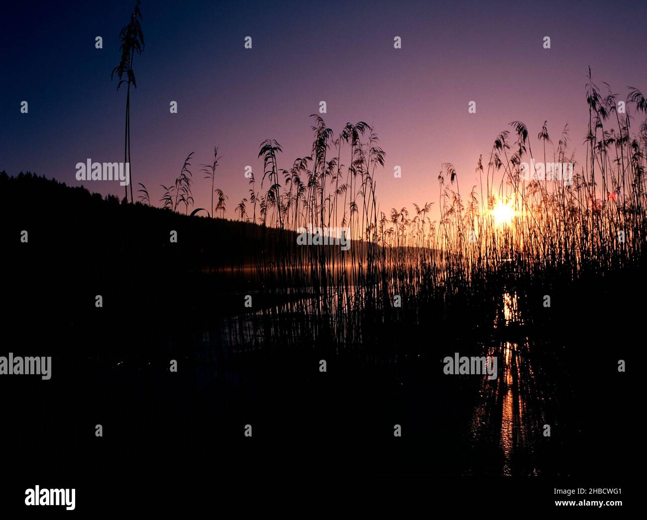 Sunset on Lake Simssee, Upper Bavaria, Germany Stock Photo - Alamy