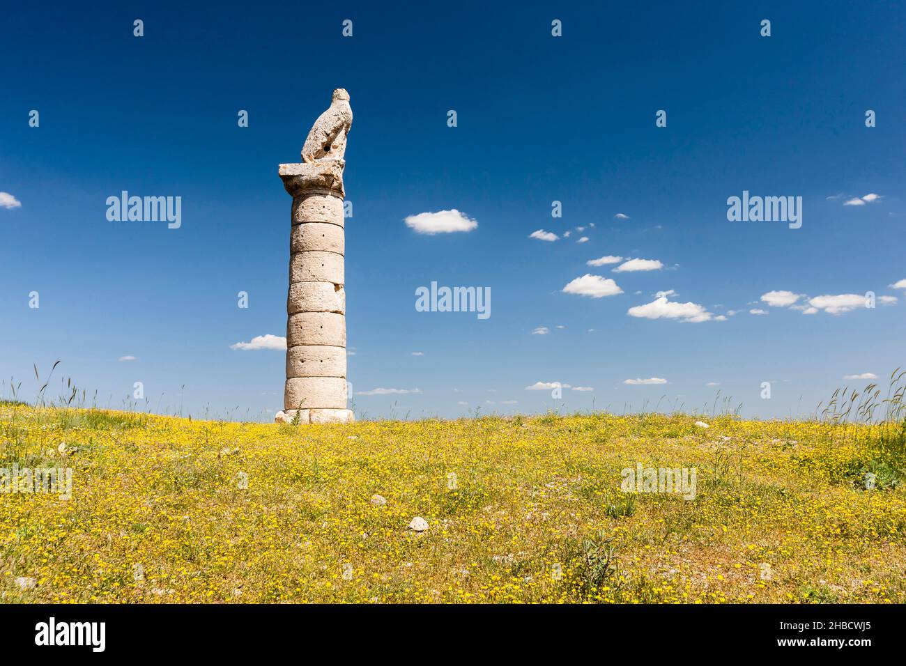 Eagle column hi-res stock photography and images - Alamy