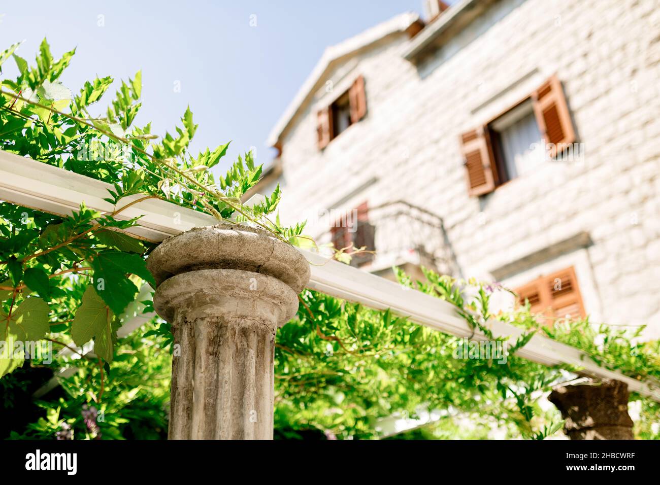 Greek column ivy hi-res stock photography and images - Alamy