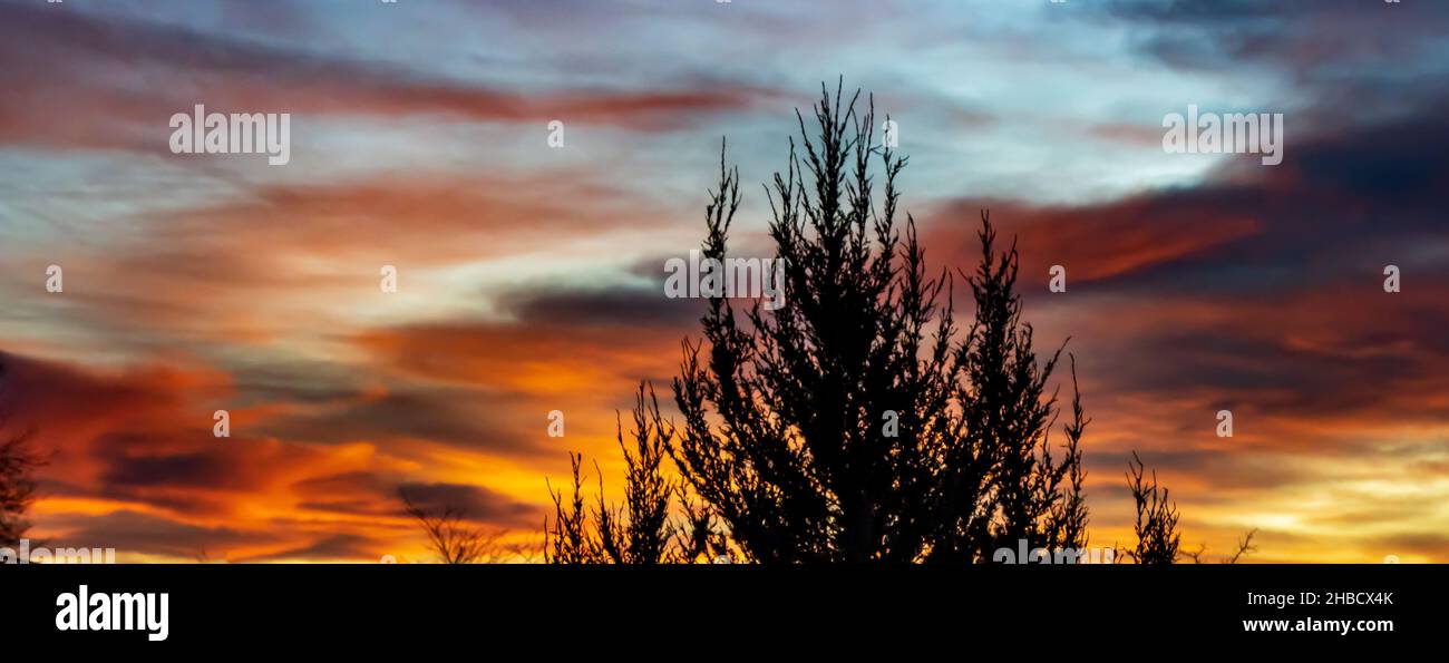 An amazing sky at sunset with treetops in the foreground Stock Photo ...