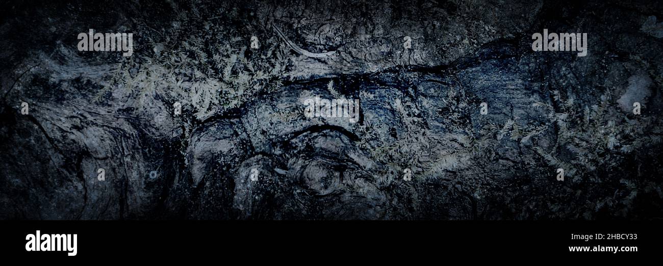 Dark scary cracked wood texture background banner for horror or ...