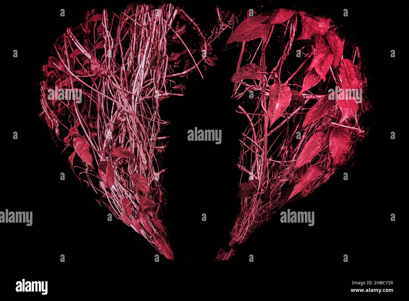 Blood red heart from vines leaves texture background for horror or ...