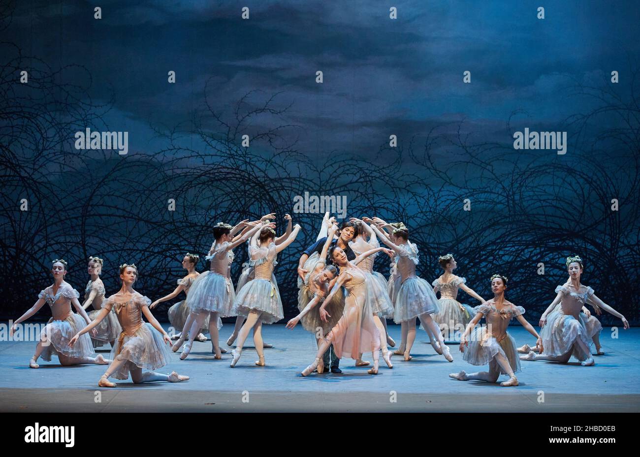 Sleeping beauty ballet rose hi-res stock photography and images - Alamy