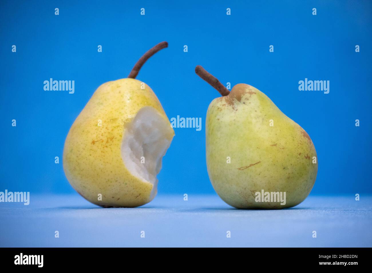 a close up of a bitten pear is standing and the background is blue ...