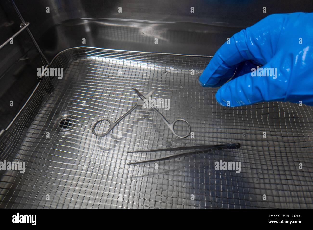 a dirty instrument is placed in an ultrasonic basin Stock Photo - Alamy