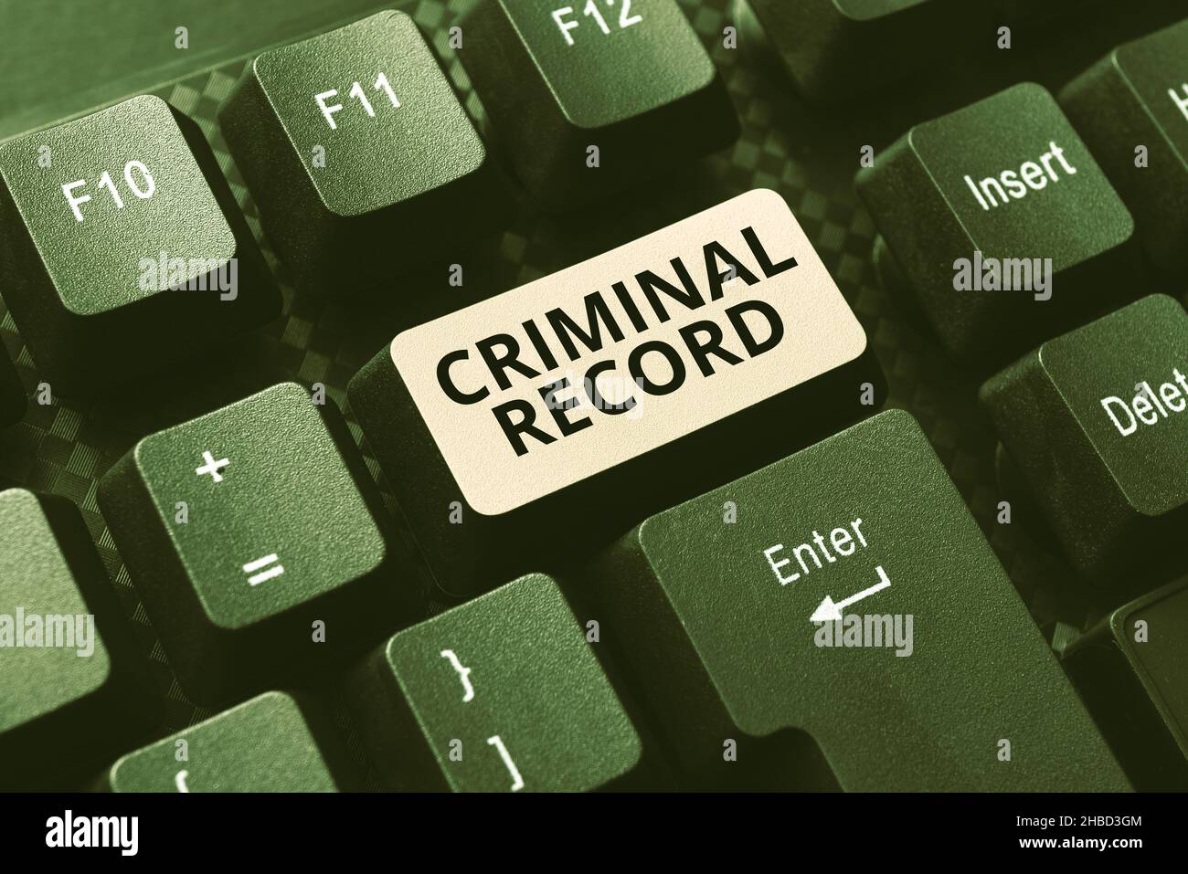 Text caption presenting Criminal Record. Business approach profile of a ...